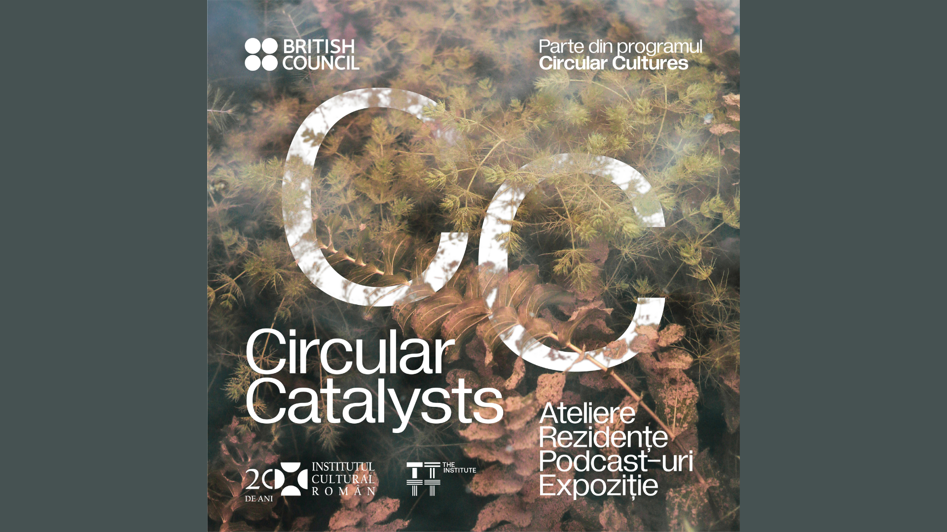 Circular Catalysts: modele de bună practică, reziliență și dezvoltare ...